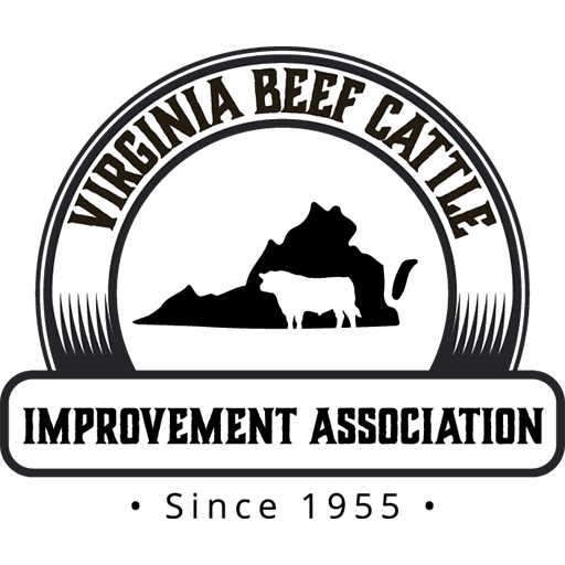 Home - Virginia Beef Cattle Improvement Association